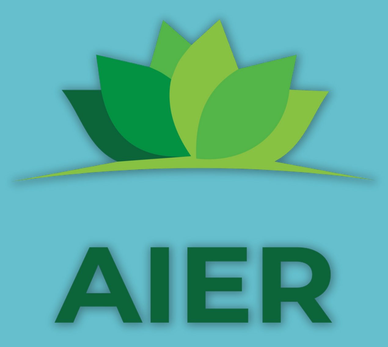 Podcast - The Alliance of Innovative Educational Redesign